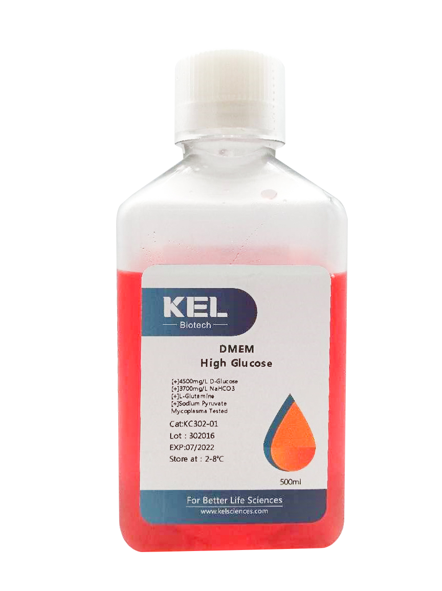 Dmem High Glucose With Sodium Pyruvate With L Glutamine Dmem高糖（含谷氨酰胺
